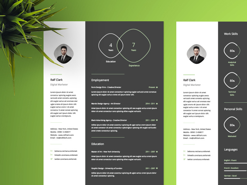 Infographic Resume Template, a Resume Template by Graphic Pear
