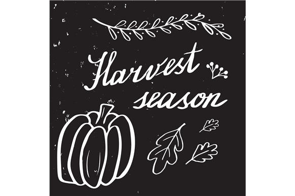 5 Autumn hand lettering designs, an Object Illustration by Sunshine Art ...