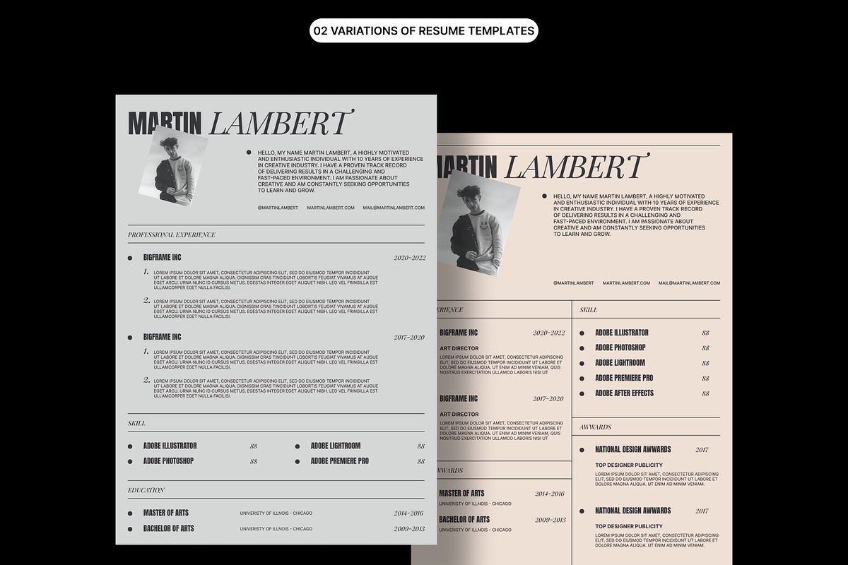 Best Resume Template KIT