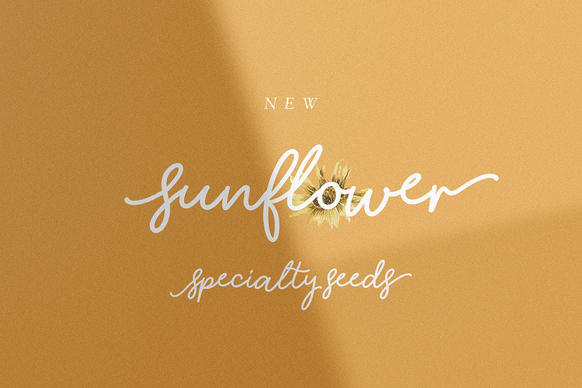 Cheerful Elf Script Font, a Script Font by Creativeqube Design