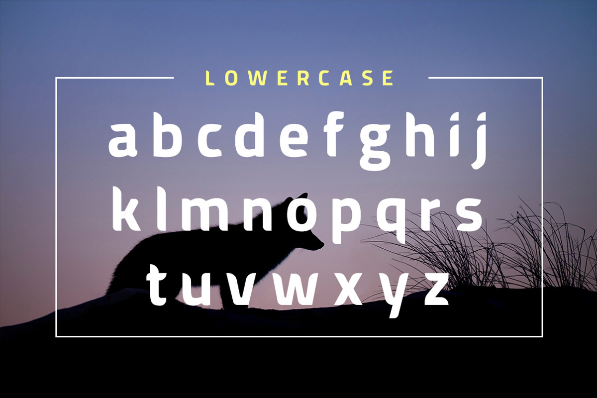 American Fox Font, a Sans Serif Font by yantodesign | Creative Market