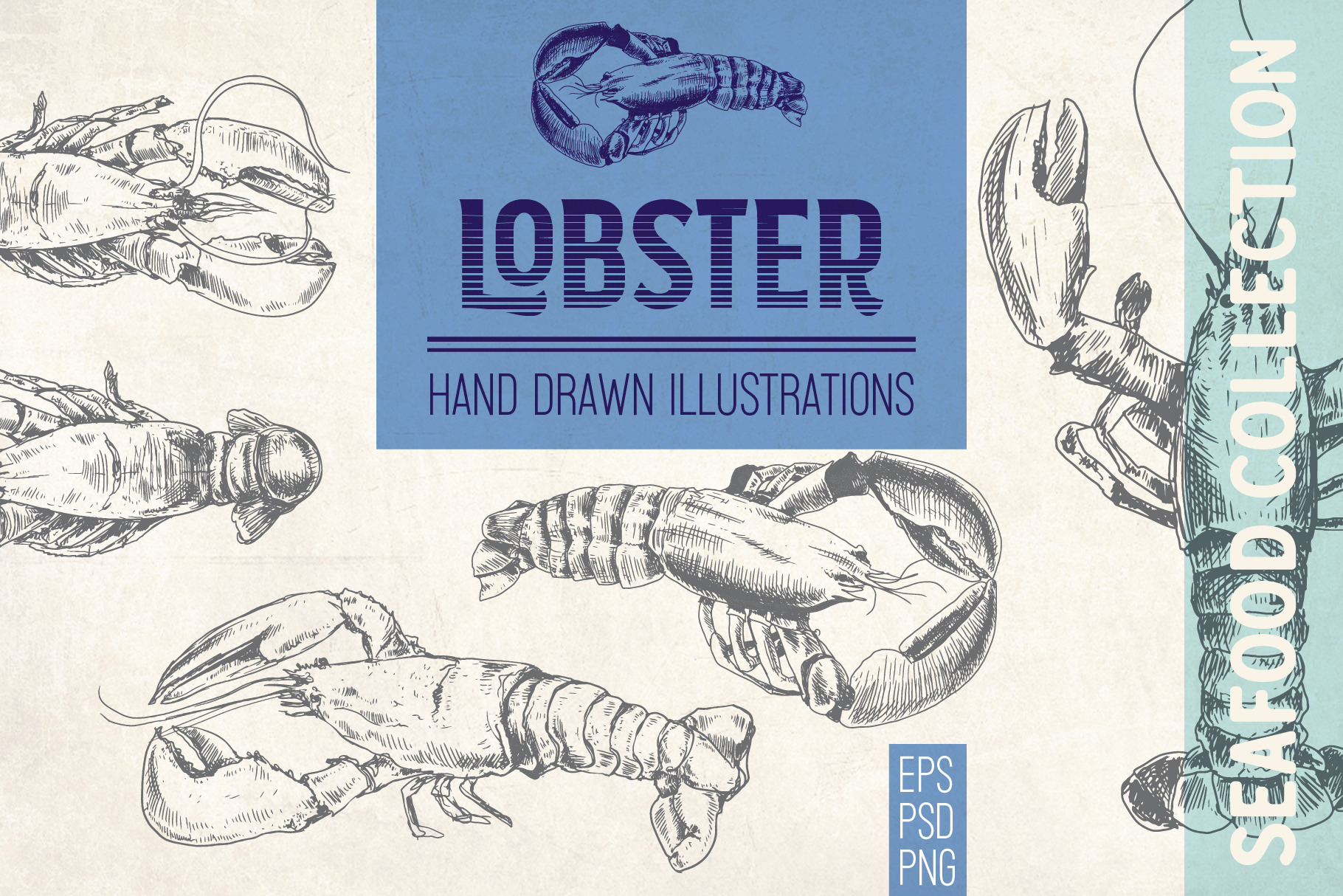 Lobster. Hand drawn ink collection | Graphic Objects ~ Creative Market