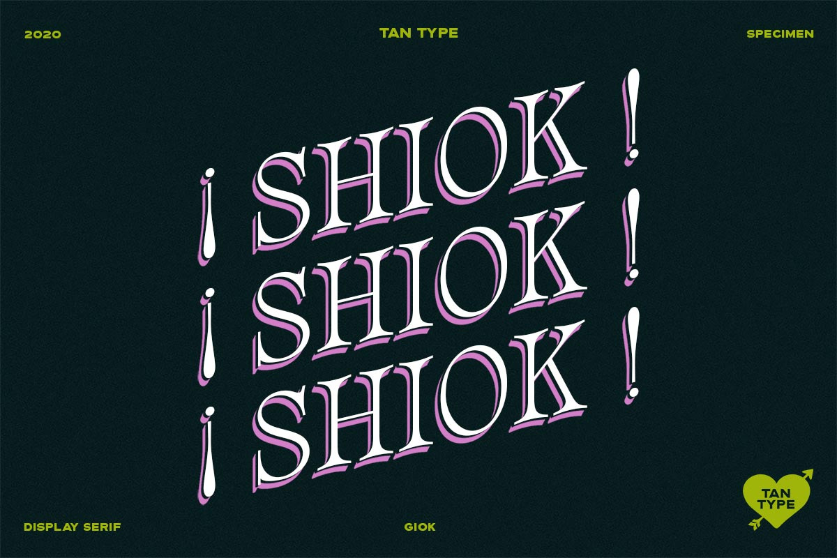 TAN - GIOK, a Serif Font by TanType