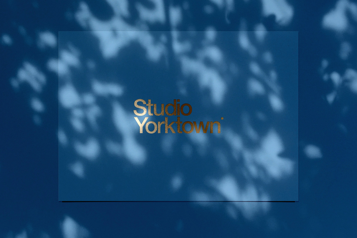 Kage - Botanical Shadow Overlays, a Texture Graphic by Studio Yorktown