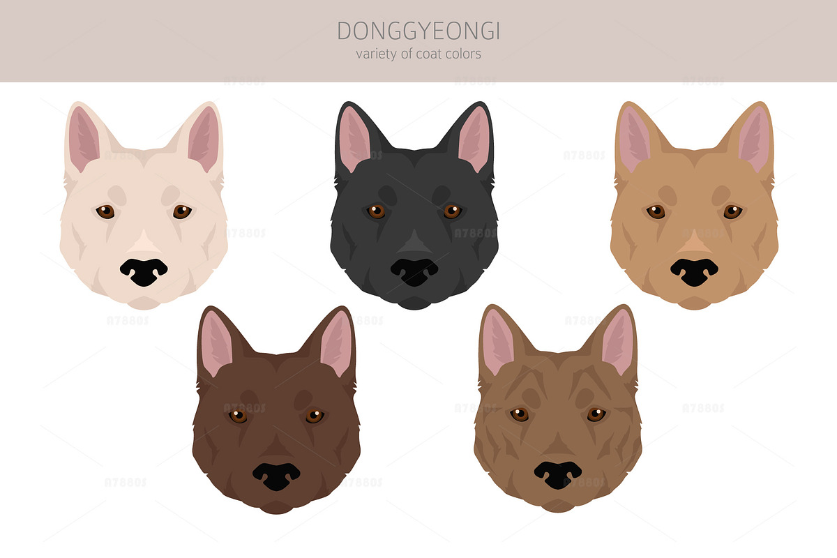 Donggyeongi dog clipart
