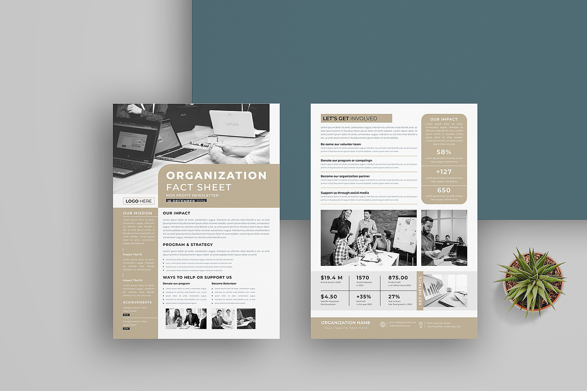 Nonprofit Organization Fact Sheet, a Flyer Template by obayes