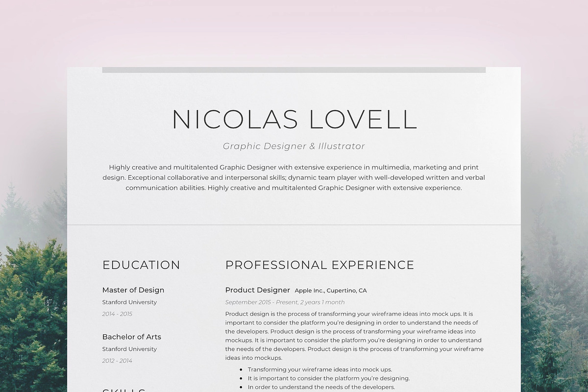 Professional Resume 2, a Resume Template by DEFNST