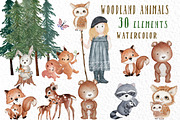Forest Friends Woodland animals | Animal Illustrations ~ Creative Market