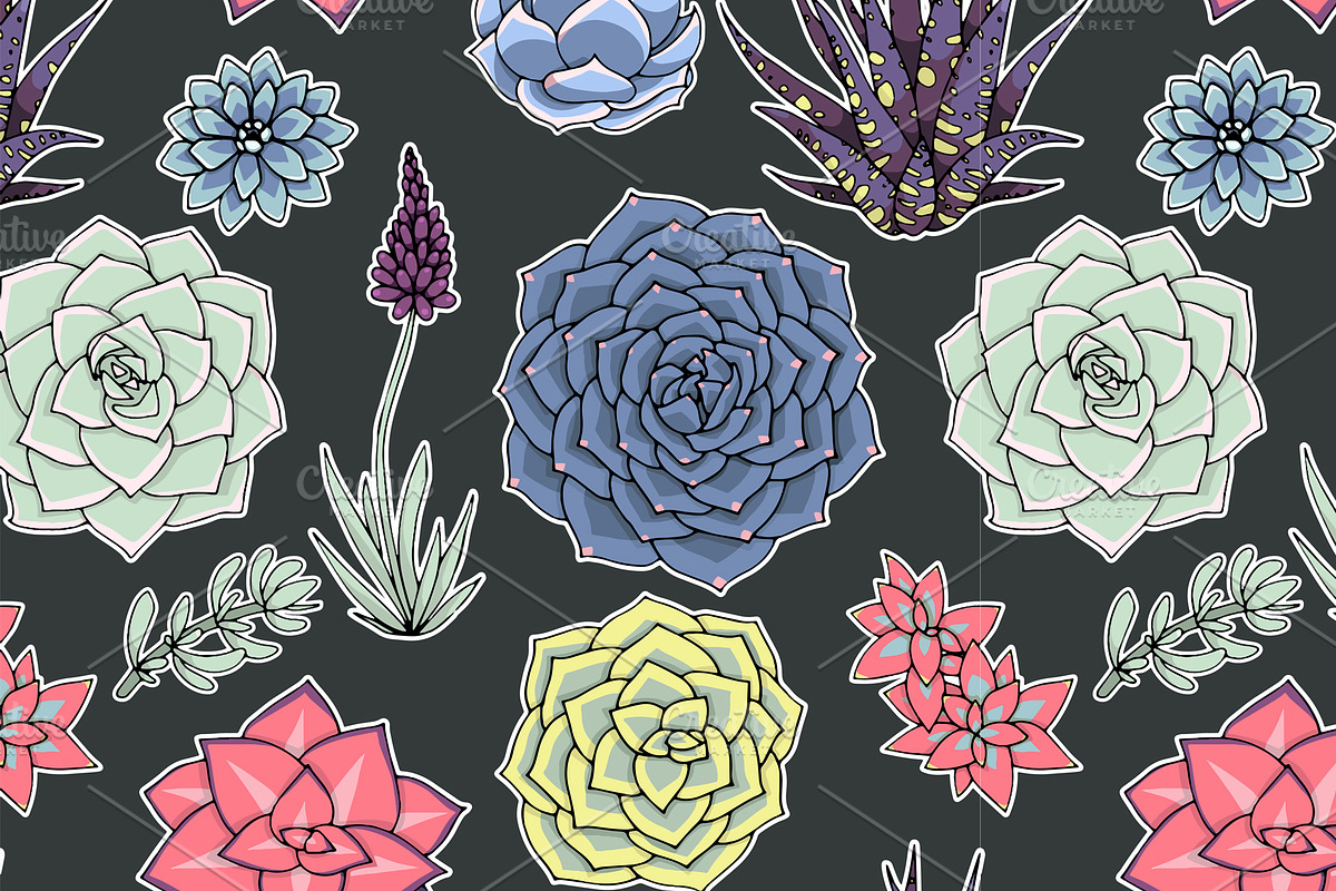 5 seamless succulent patterns, a Pattern Graphic by kizi | Creative Market