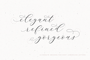 Adore Calligraphy Font, a Script Font by The Styled Script