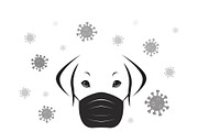 Dogs wearing a mask. Covid-19 virus. | Animal Illustrations ~ Creative ...