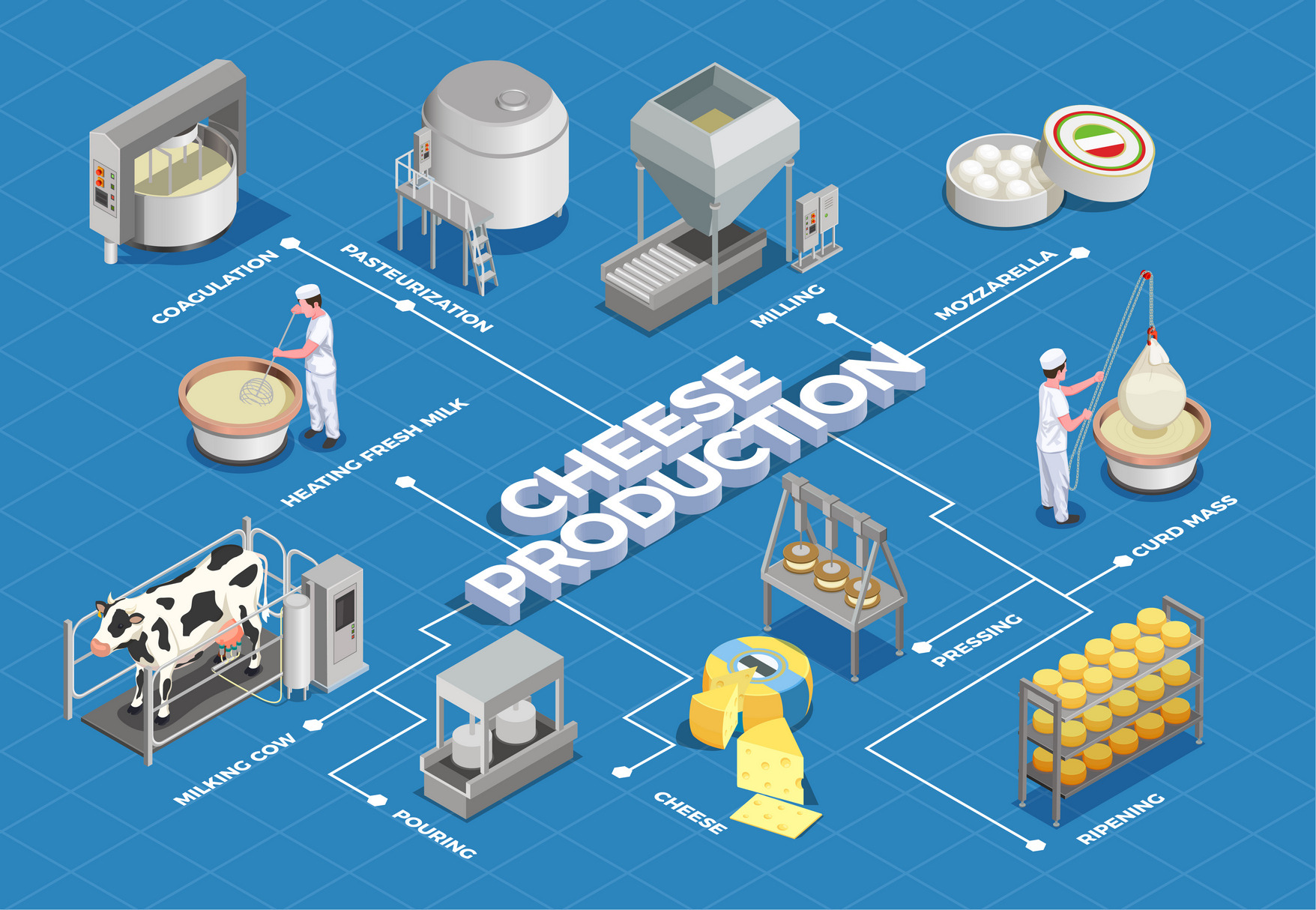 Cheese production flowchart, a Technology Illustration by Macrovector