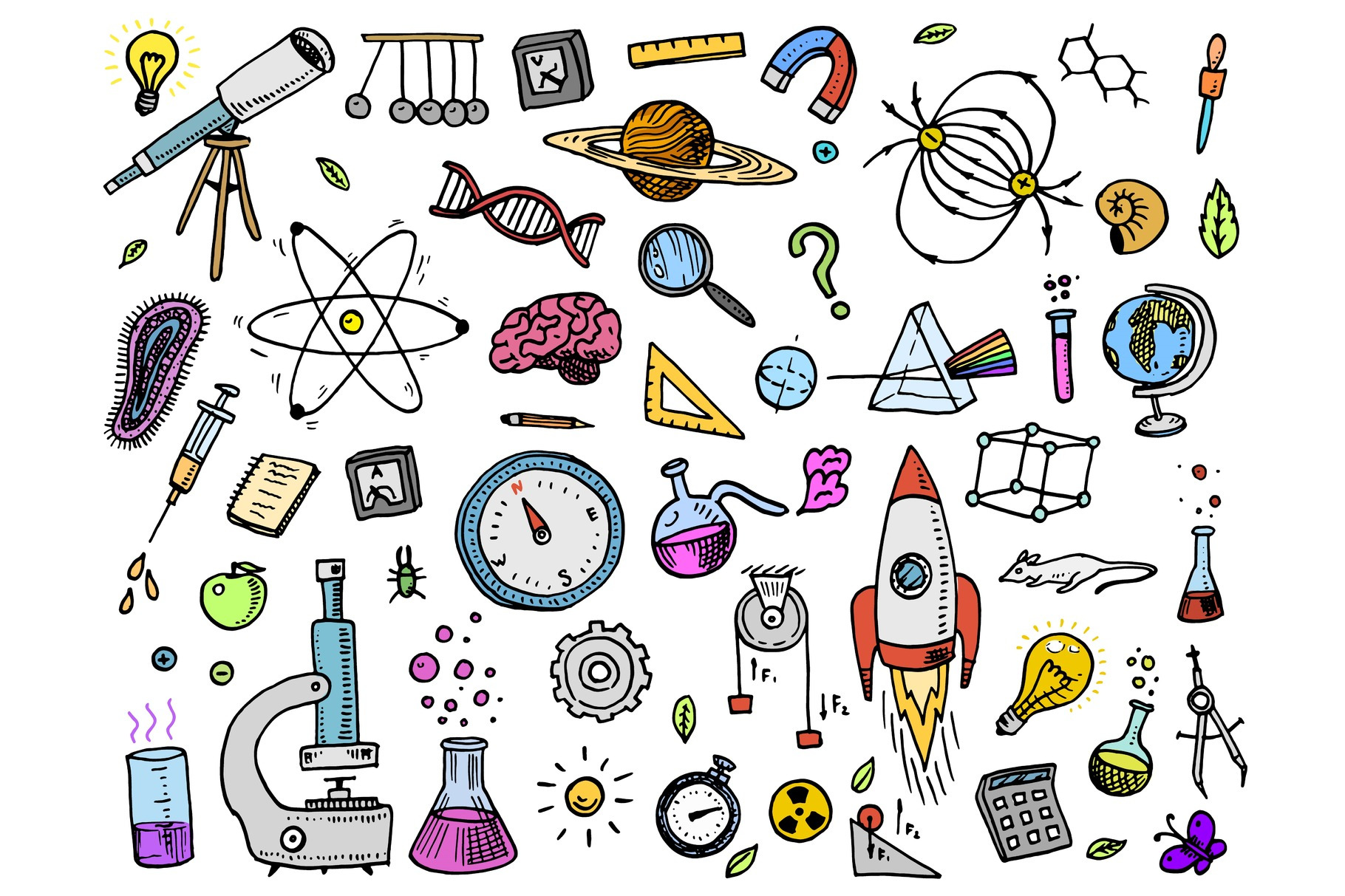 engraved hand drawn in old sketch and vintage style. scientific ...