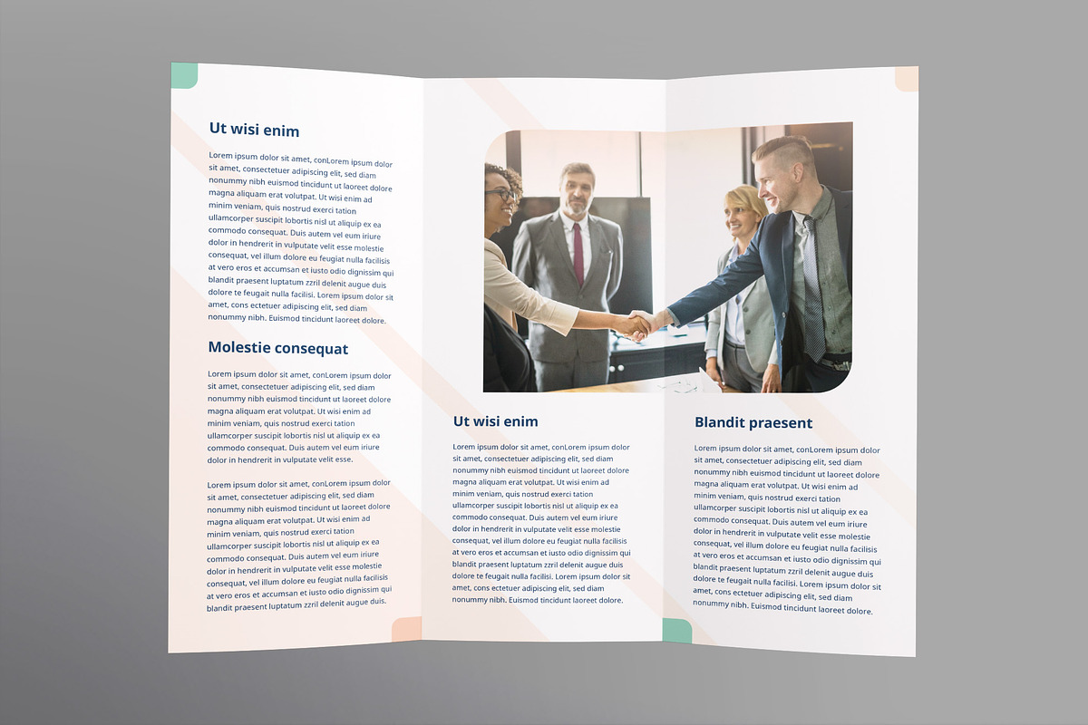 Business Advisor Brochure Trifold, a Brochure Template by TemplatesNow!
