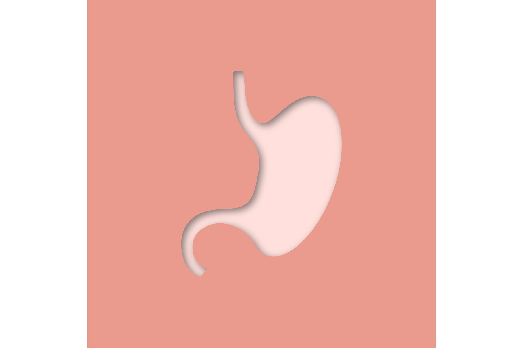 Stomach paper cut out icon, an Icon by bsd studio | Creative Market