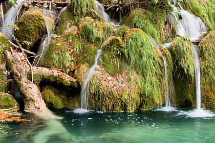 Waterfall With Tree Trunk, a Nature Photo by Artur Bogacki
