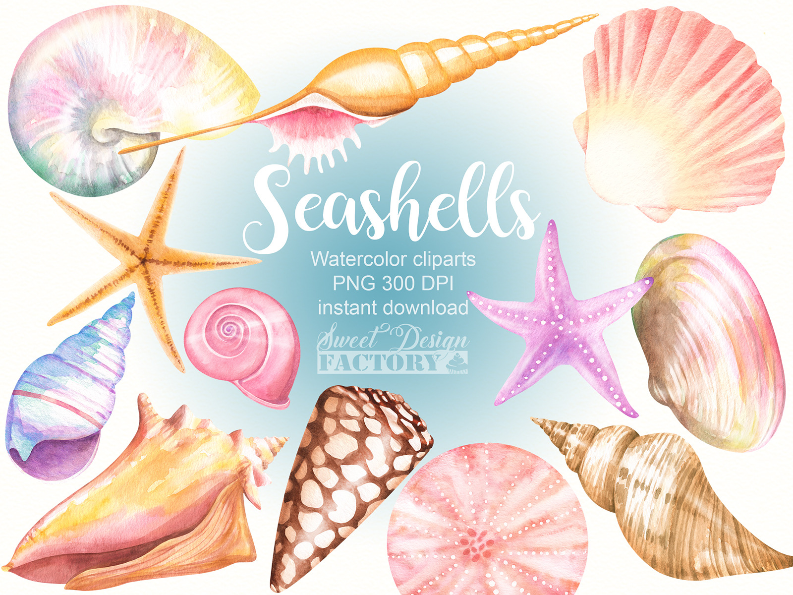 Watercolor seashells cliparts, an Illustration by Sweet sweet design ...