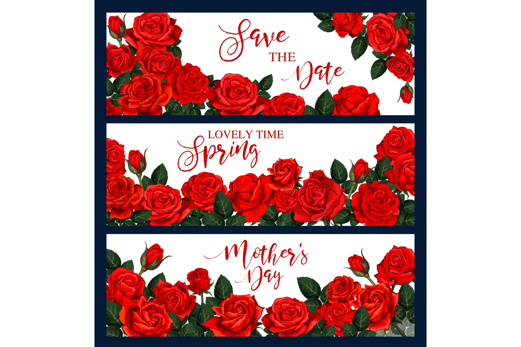 Vector banners with red roses, a Decorative Illustration by Vector ...