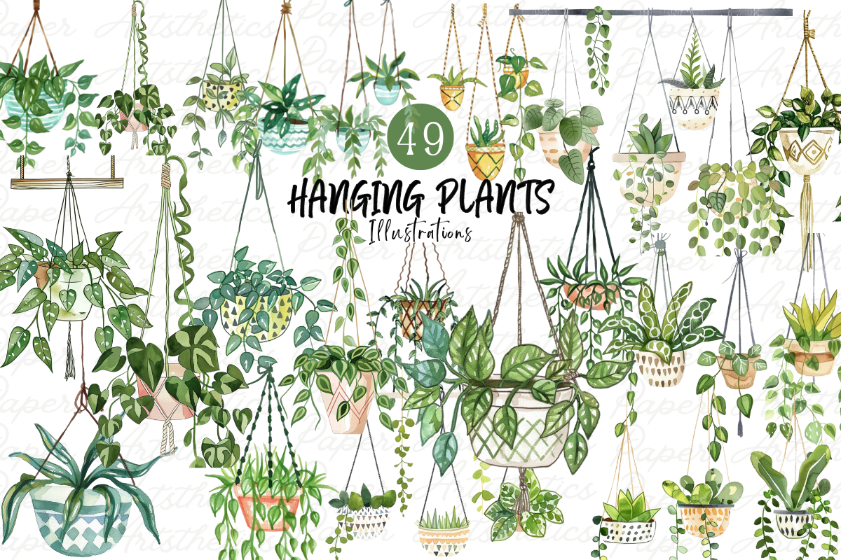 Hanging Plants Illustrations Png, a Decorative Illustration by Paper Artsthetics | Creative Market