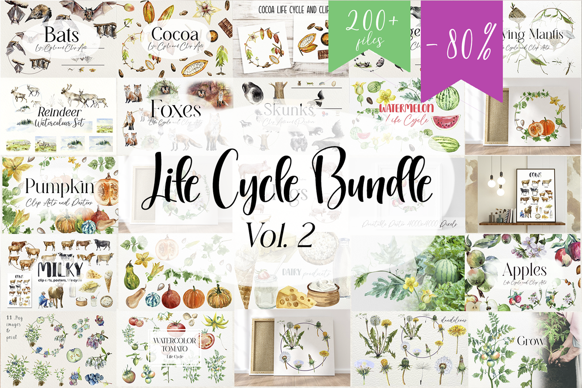 Big Life Cycle Bundle Vol.2, an Animal Illustration by Tati Bordiu