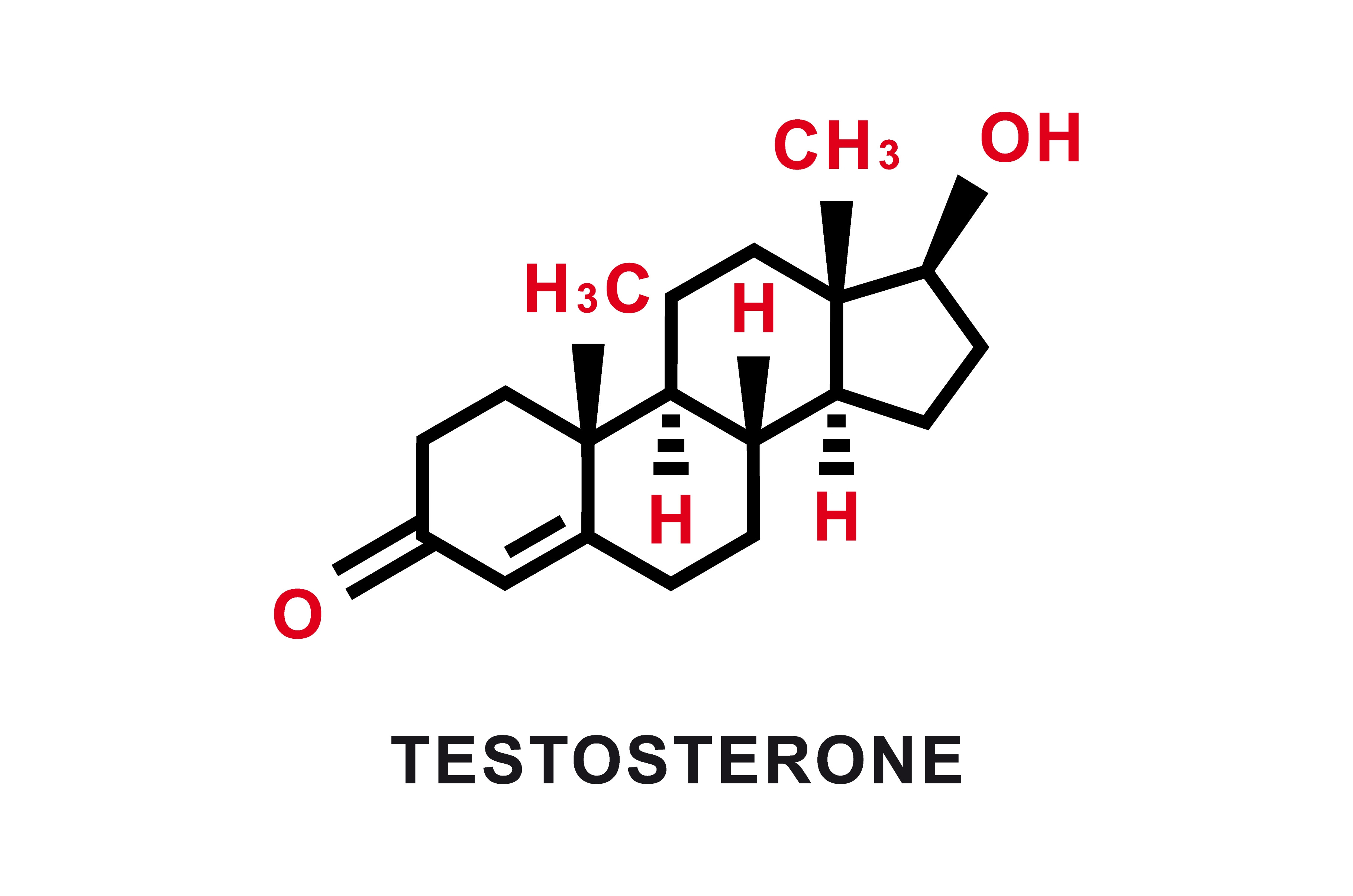 Testosterone chemical formula, an Education Illustration by GraphiShop
