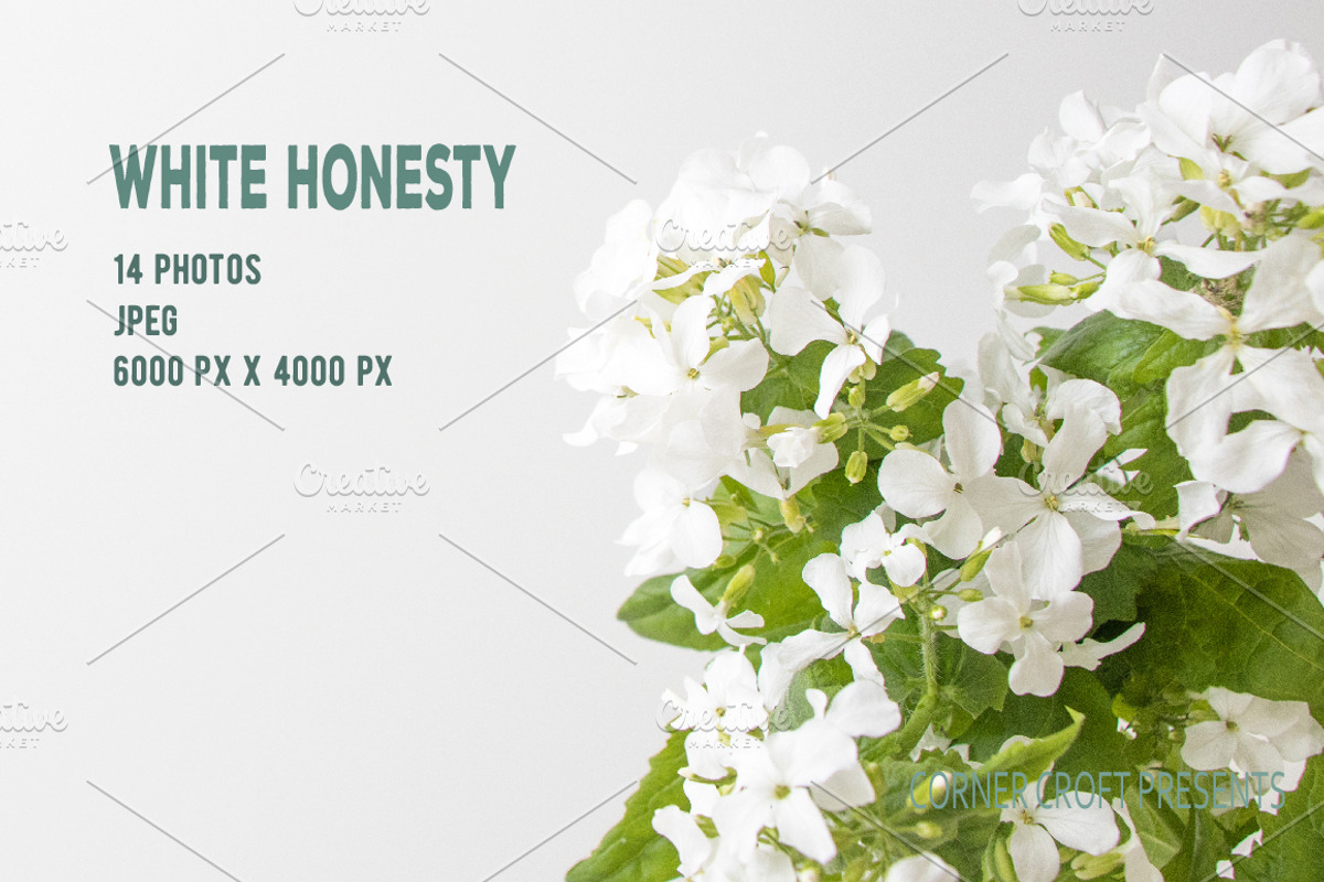 White Honesty Stock Photo Bundle, a Cups & Container Mockup by Corner ...
