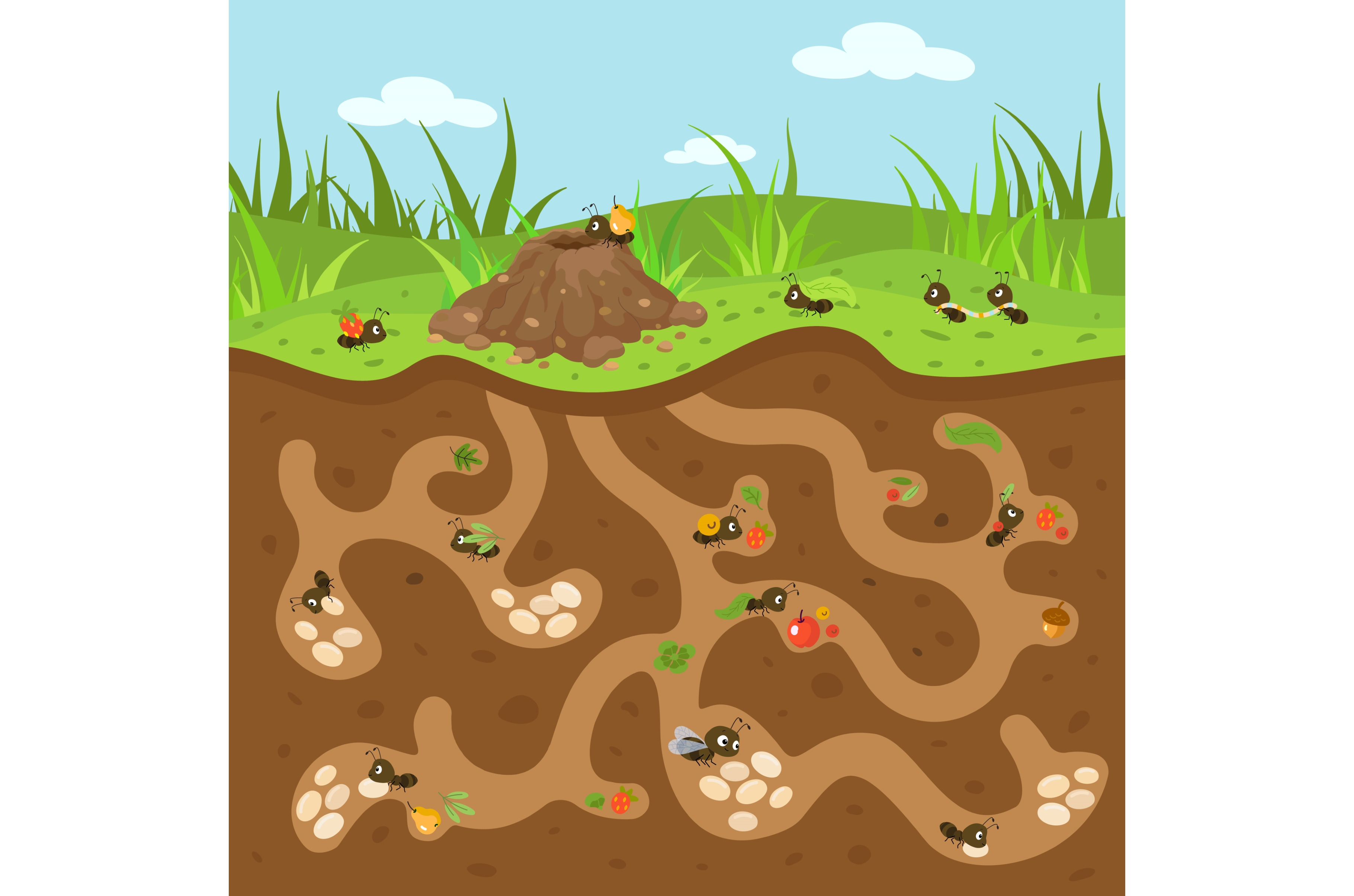 Cartoon anthill illustration. Cute, a Graphic by Valerie Bodnar ...