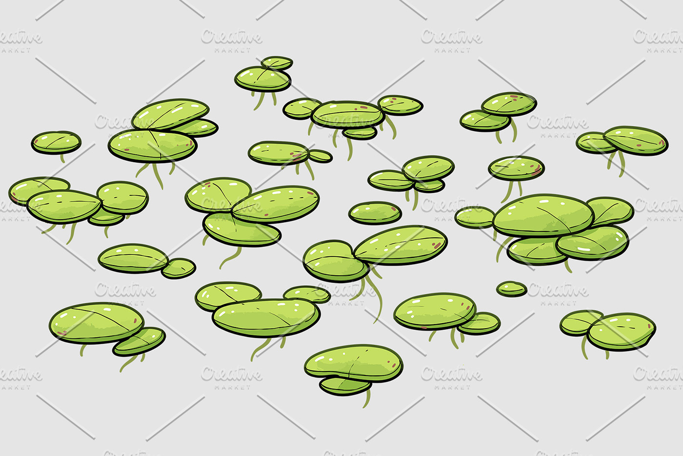 Common duckweed illustration, a Decorative Illustration by jeneses.imre