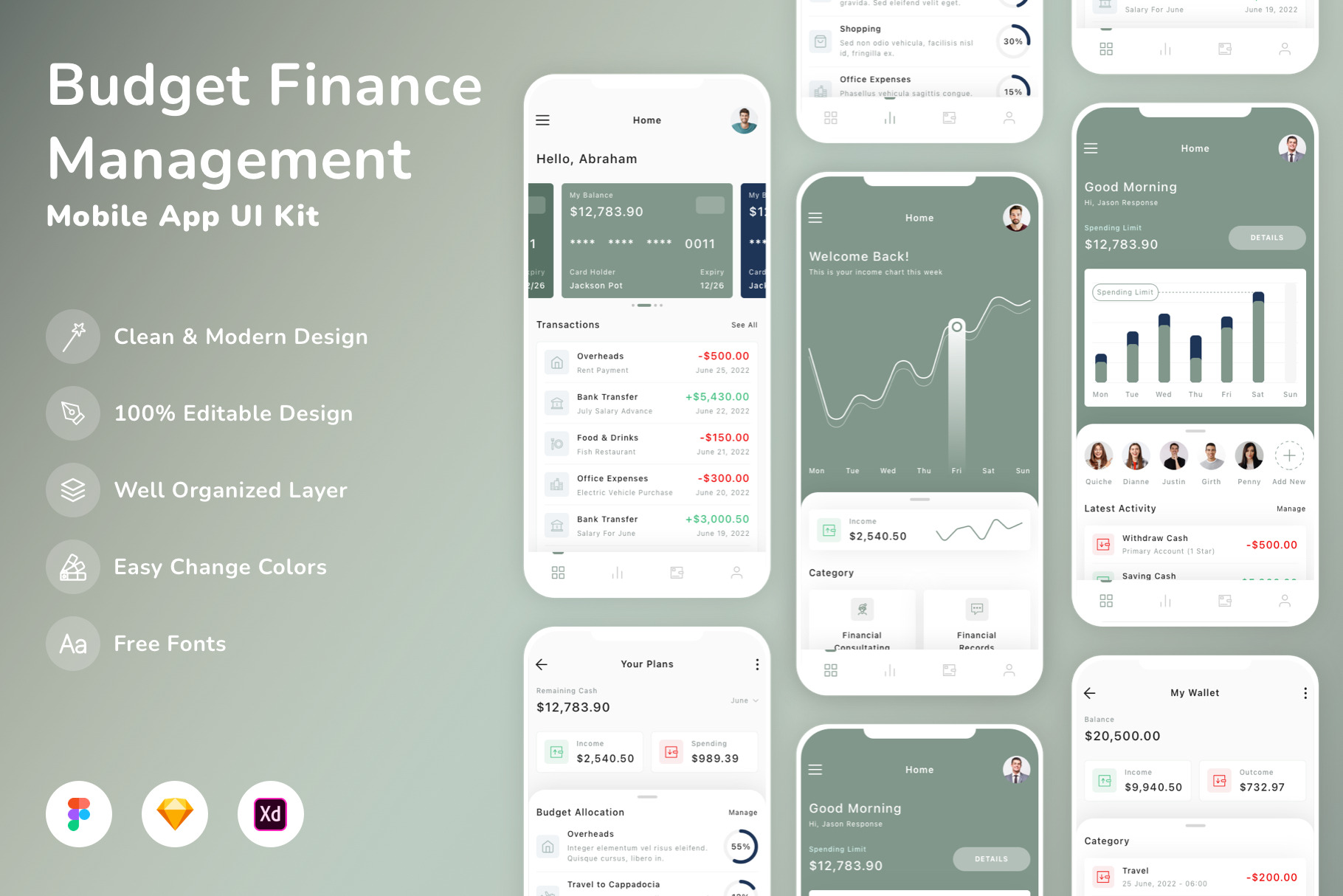 Budget Finance Management App UI Kit, an UI Kit Template by Betush