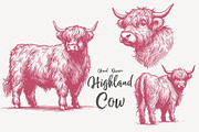 Hand Drawn Highland Cow Illustration, an Animal Illustration by MkStudio