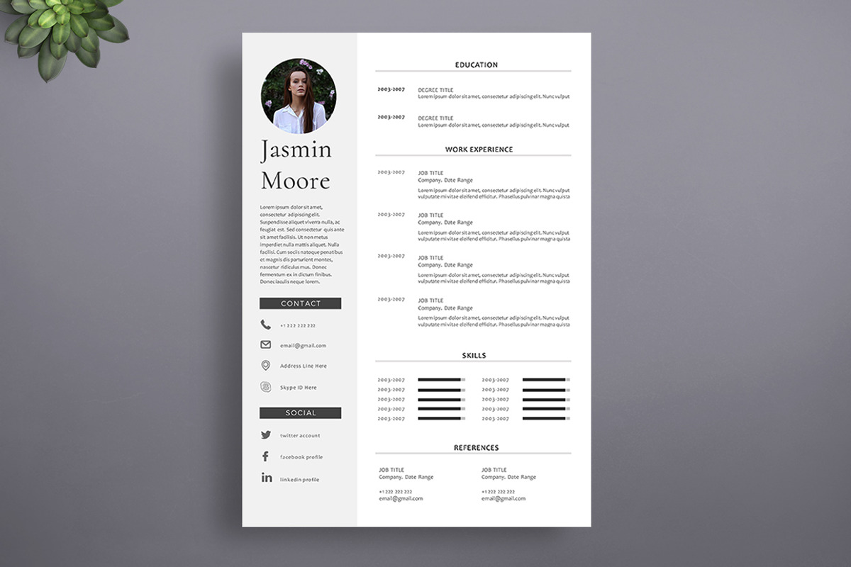 1 Page Professional Resume Template, a Resume Template by VisionTemplates