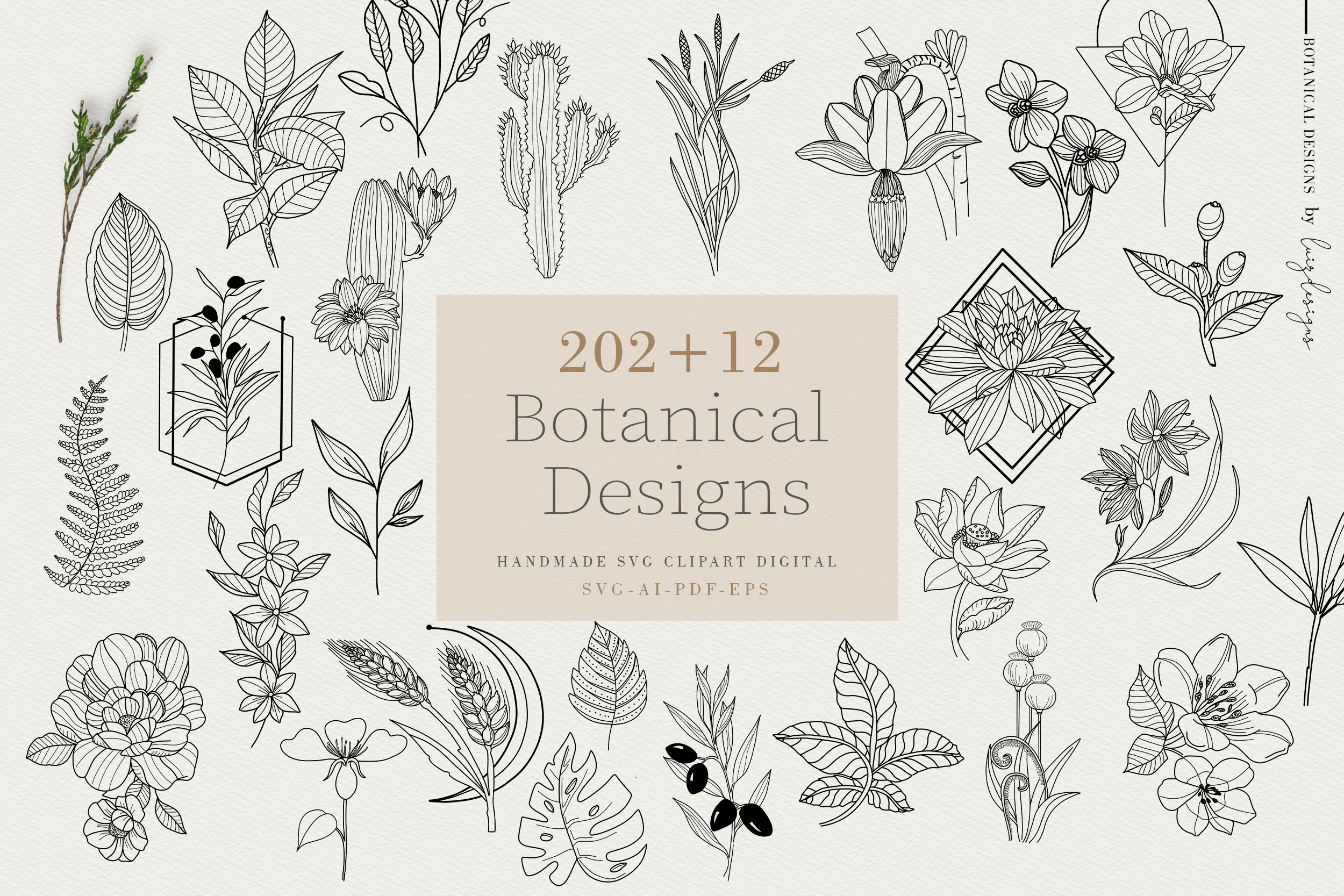 Botanical Designs, an Illustration by Luiz da Rolt
