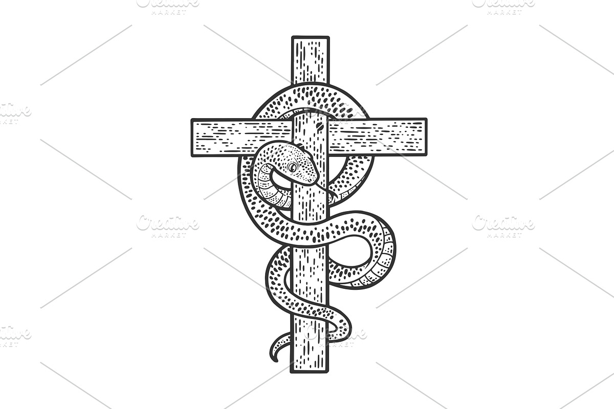 snake on the cross sketch vector, an Animal Illustration by AlexArt