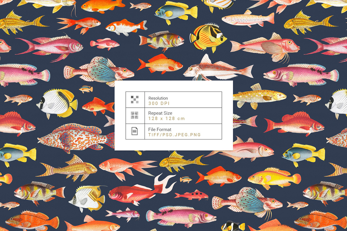 Mulgogi, luxury Fish illustration art.