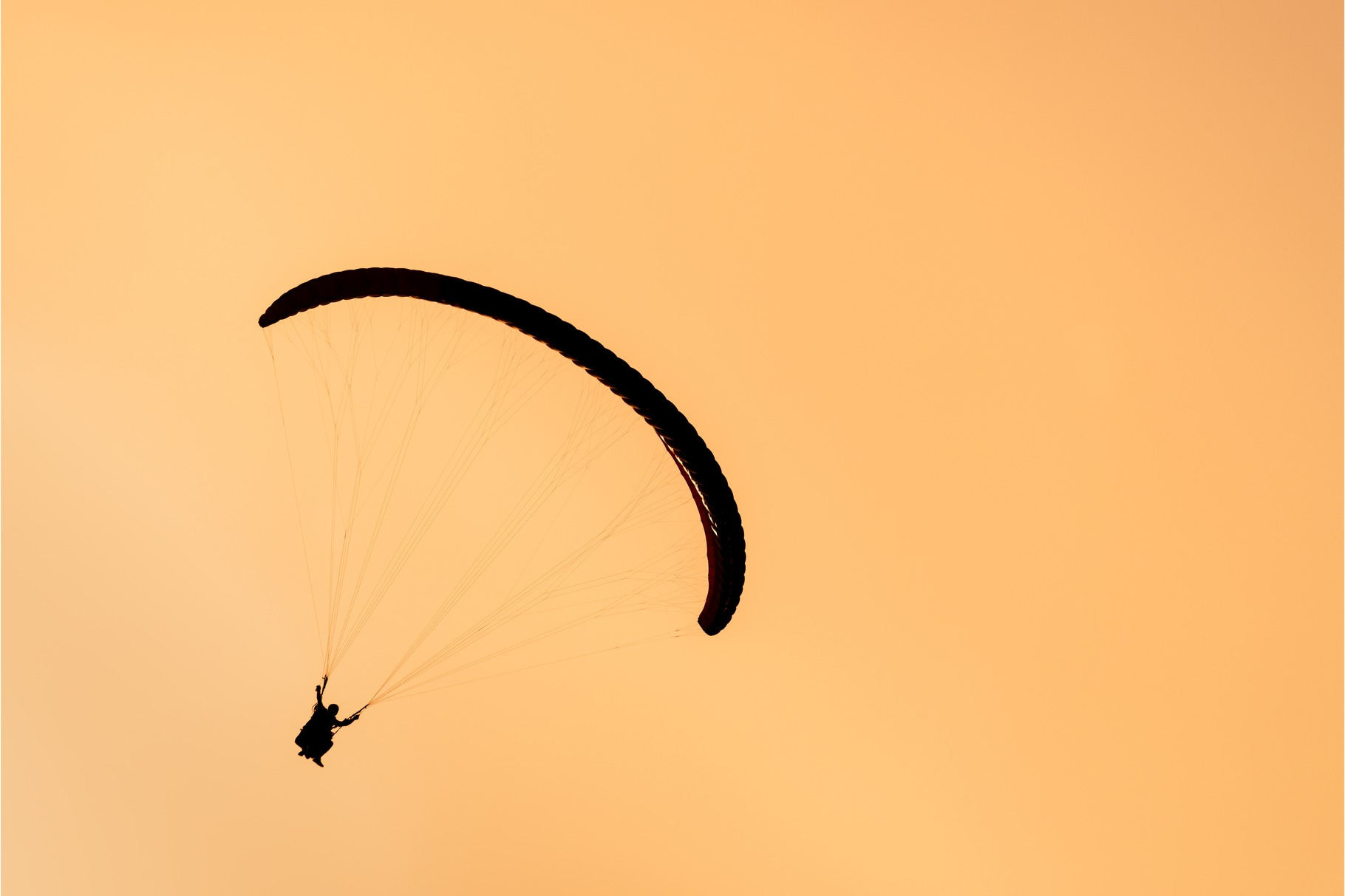 Silhouette of paraglider tandem flying in orange sky, a Sports ...