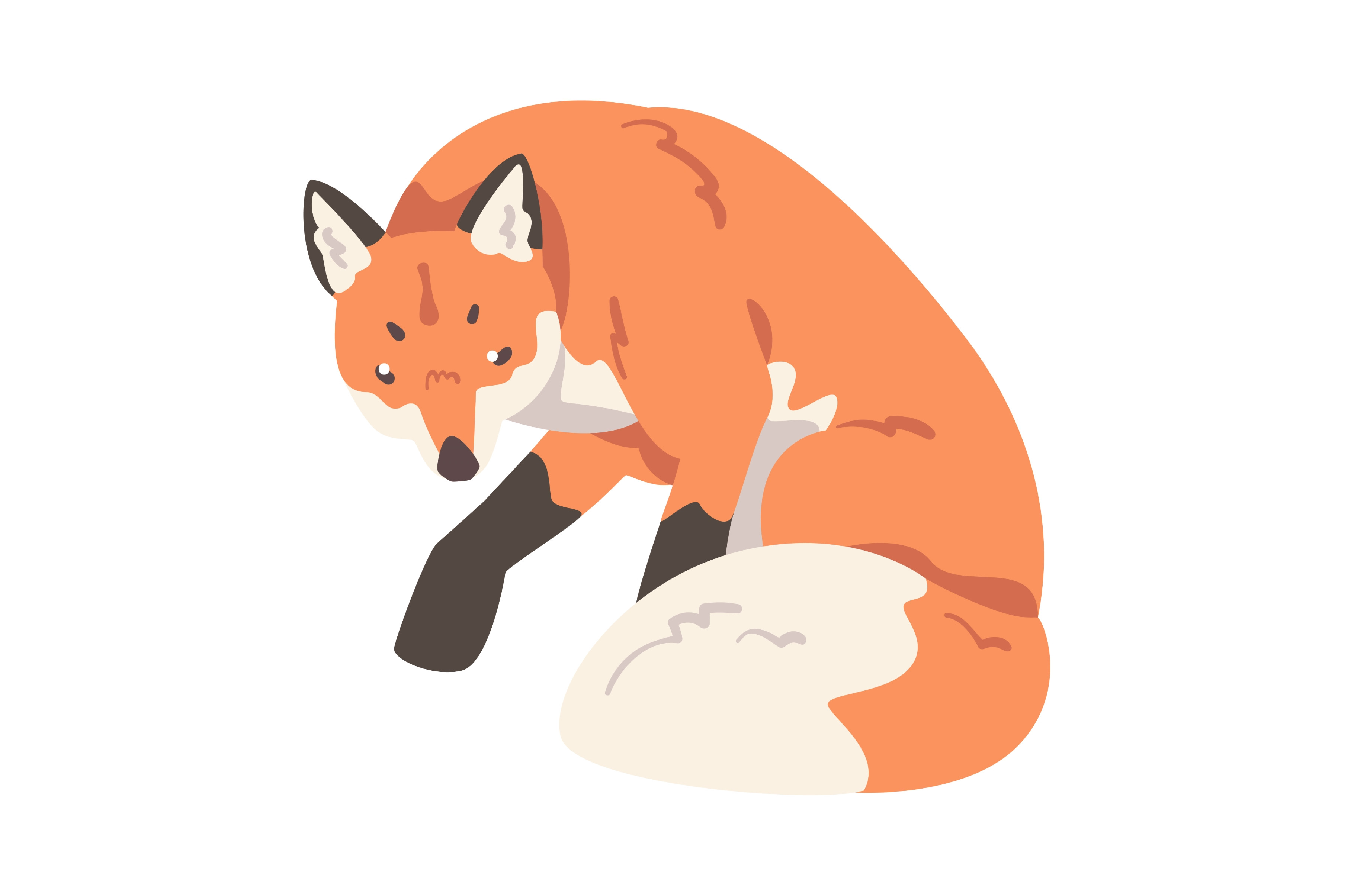 Red Sitting Fox, Wild Predator, an Animal Illustration by TopVectors