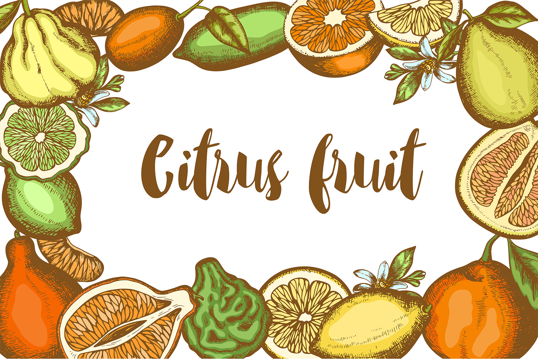 Citrus Fruits Design Kit, a Food Illustration by Artspace