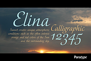 Elina, a Script Font by Paratype