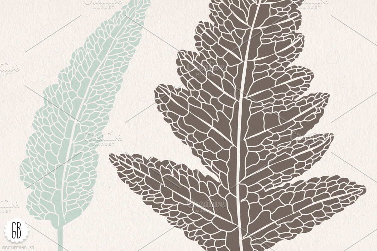 Fern, botanical vector graphics, an Illustration by GrafikBoutique