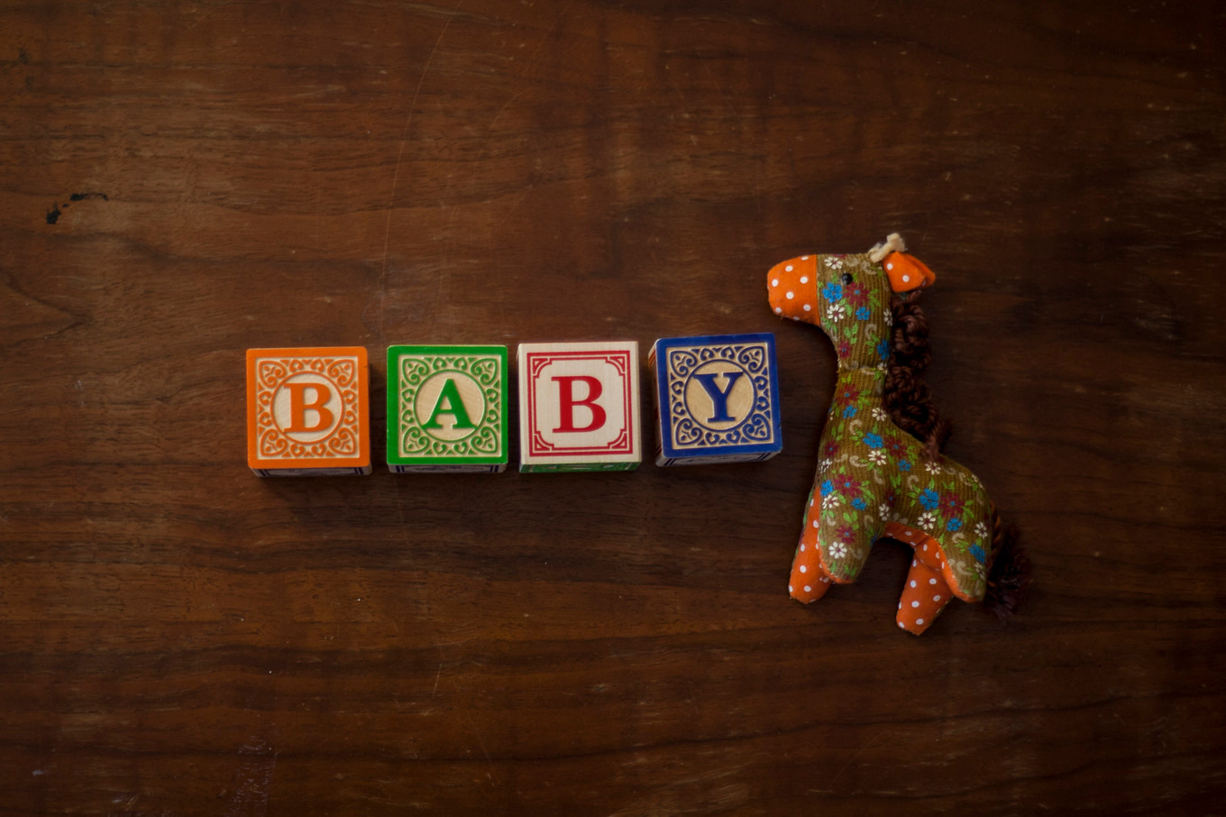 Baby letter blocks with toy giraffe, a Person Photo by Nefrith
