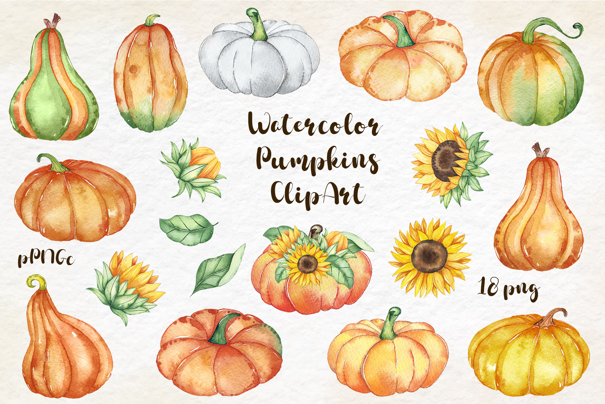 Watercolor Pumpkin clipart, an Illustration by PassionPNGcreation