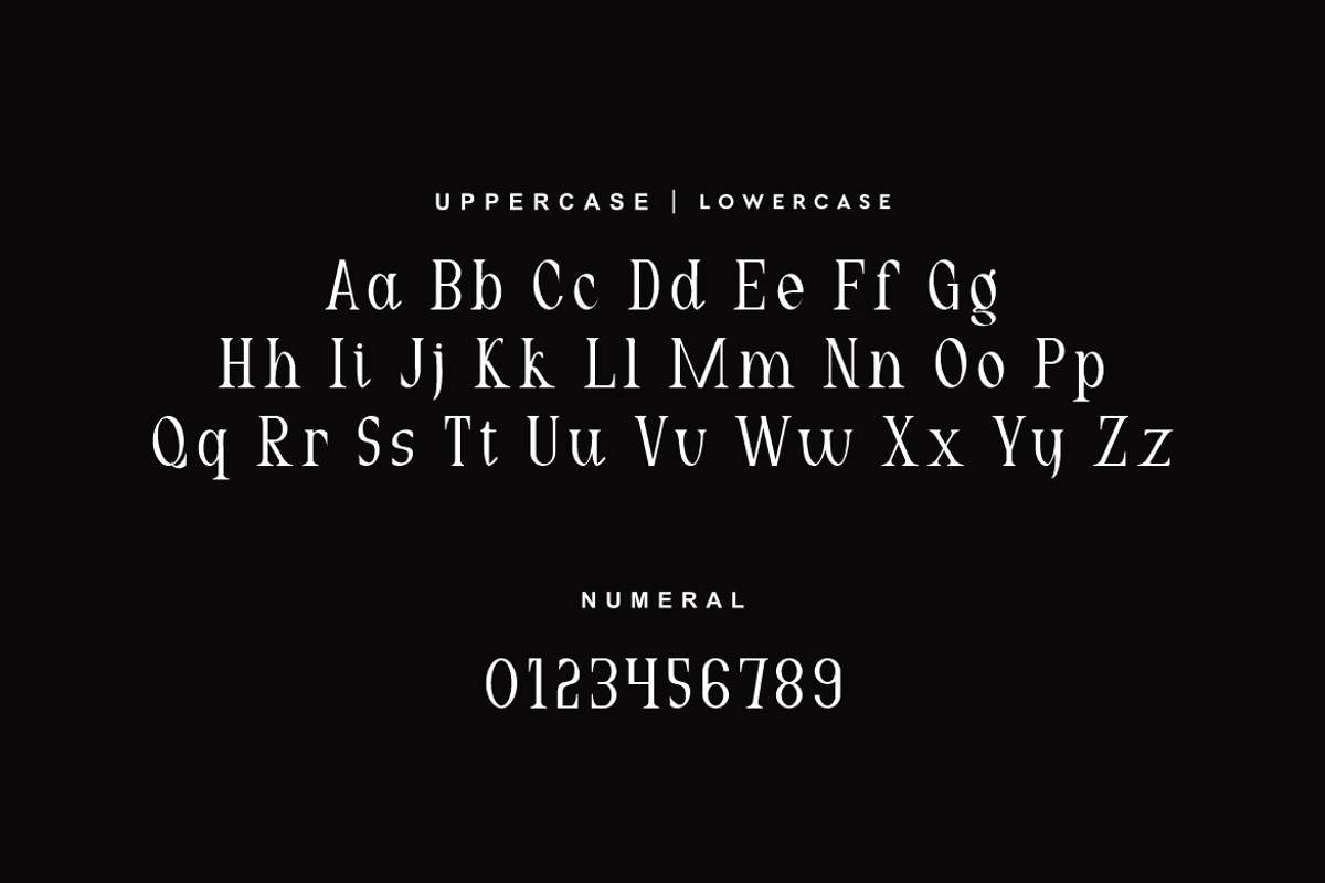 Nedogta - Modern Aesthetic Font, a Serif Font by QR Design Studio