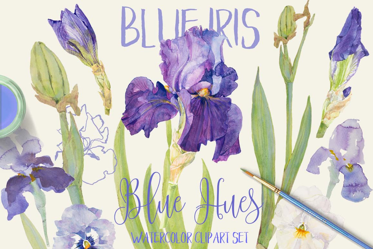 BLUE IRIS - watercolor clipart set, an Illustration by watercolorwild ...