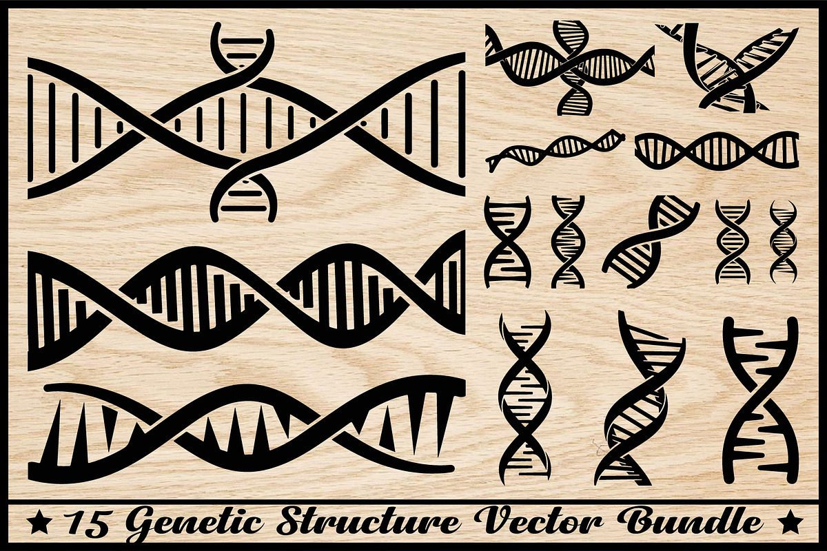 Genetic Structure Vector Bundle, an Illustration by yasushie