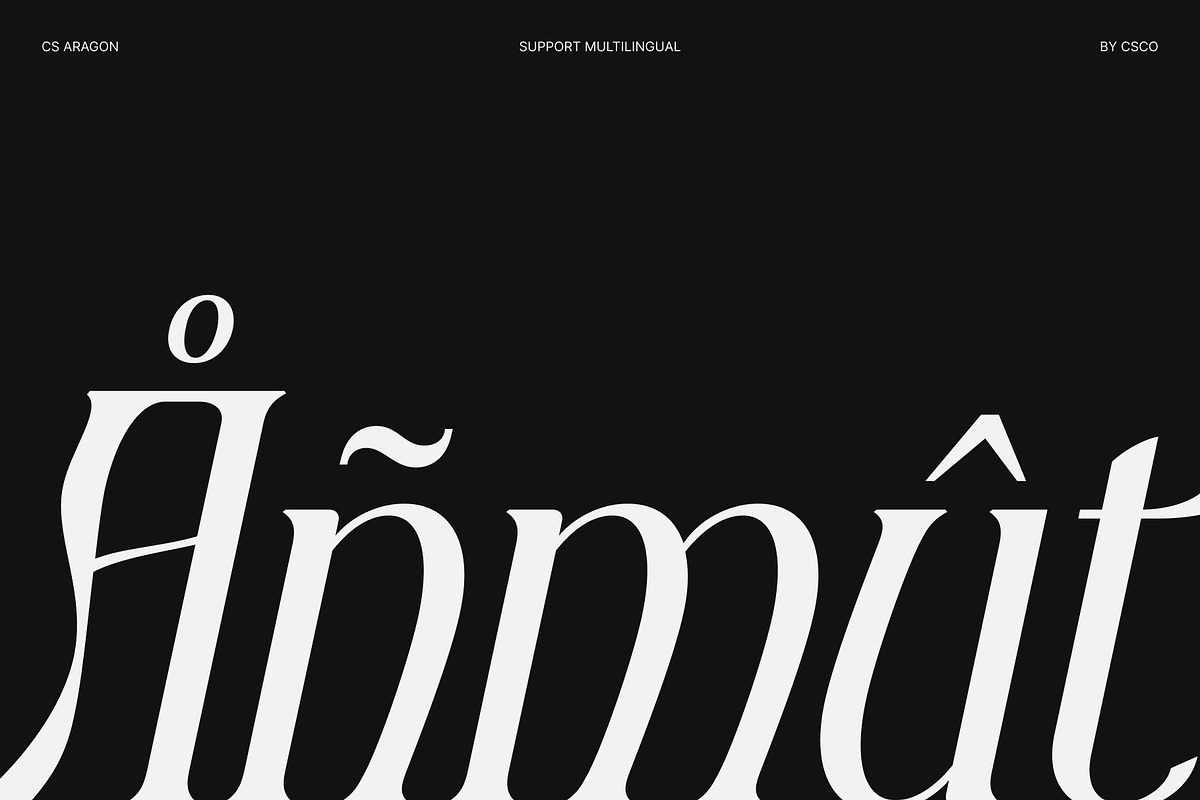 CS Aragon – Modern Serif Font, a Serif Font by Craft Supply Co.