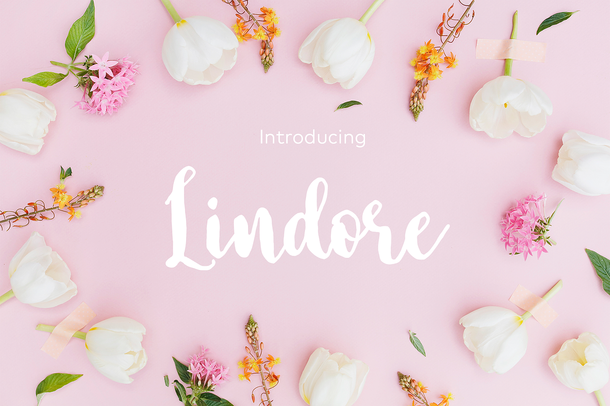Lindore Script, a Script Font by Irina Vascovet | Creative Market