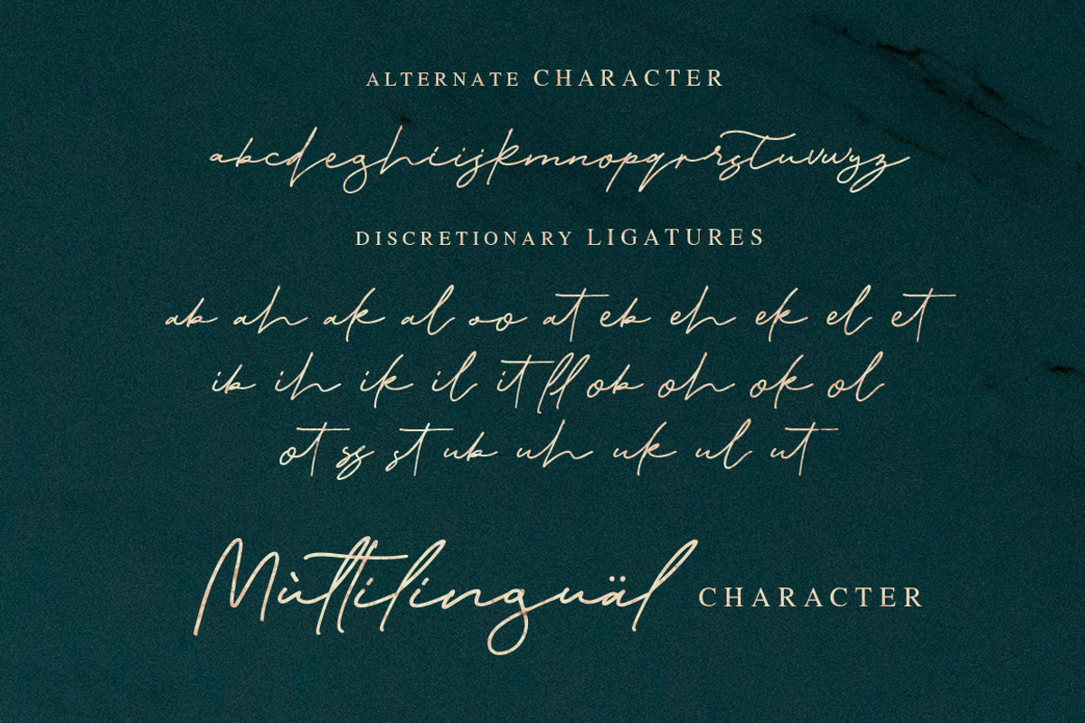Baker Jackson Signature, a Script Font by Typenations