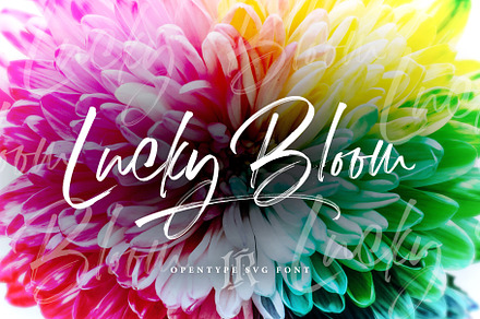 Empathy SVG Font, a Script Font by Ivan Rosenberg