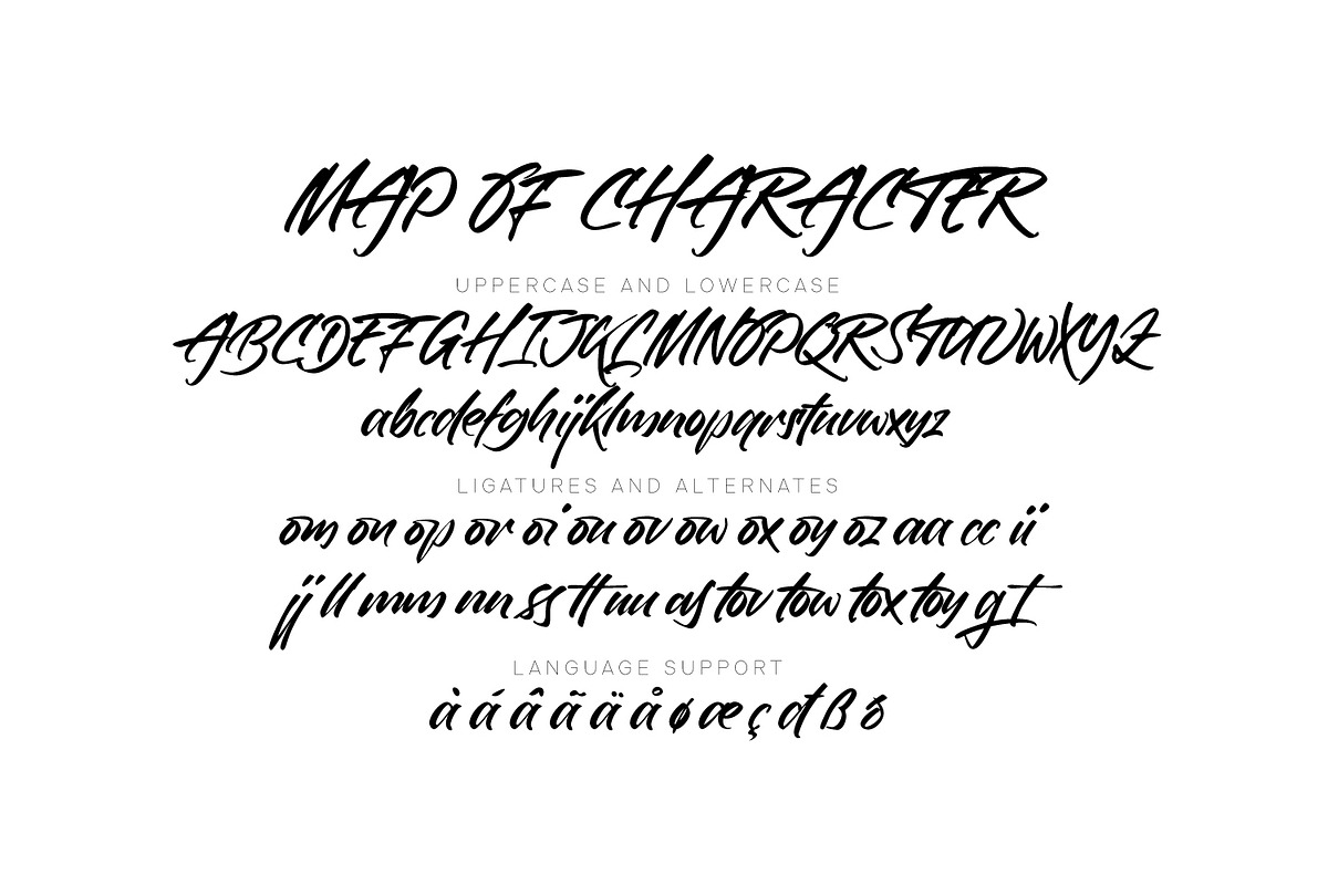 Rollingtime - Brush Script, a Script Font by Cititype | Creative Market