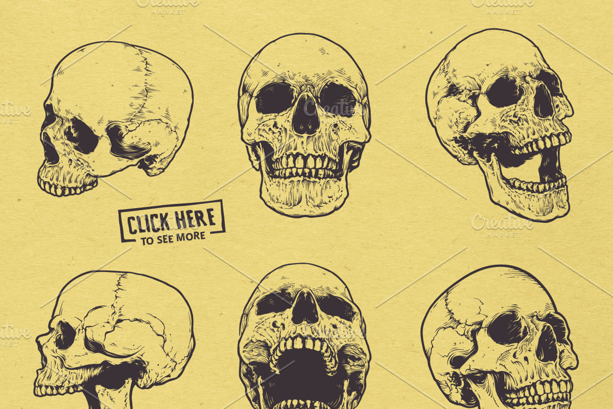 Anatomic Skulls | Vector Pack, a Texture Illustration by Vecster ...